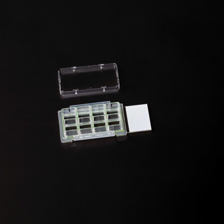 Chamber Cell Culture Slide - Bellco Glass | Laboratory Glassware