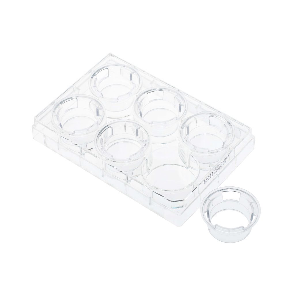 Permeable Cell Culture Inserts, Packed in 6 Well Plate, PET, 8.0µm ...