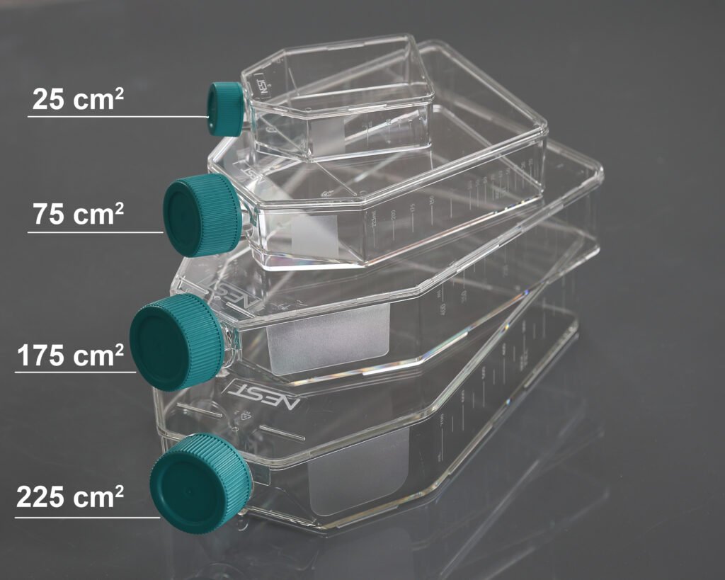 75cm2 Cell Culture Flask, Plug Seal Cap, Non-Treated, sterile 5/pk, 100 ...